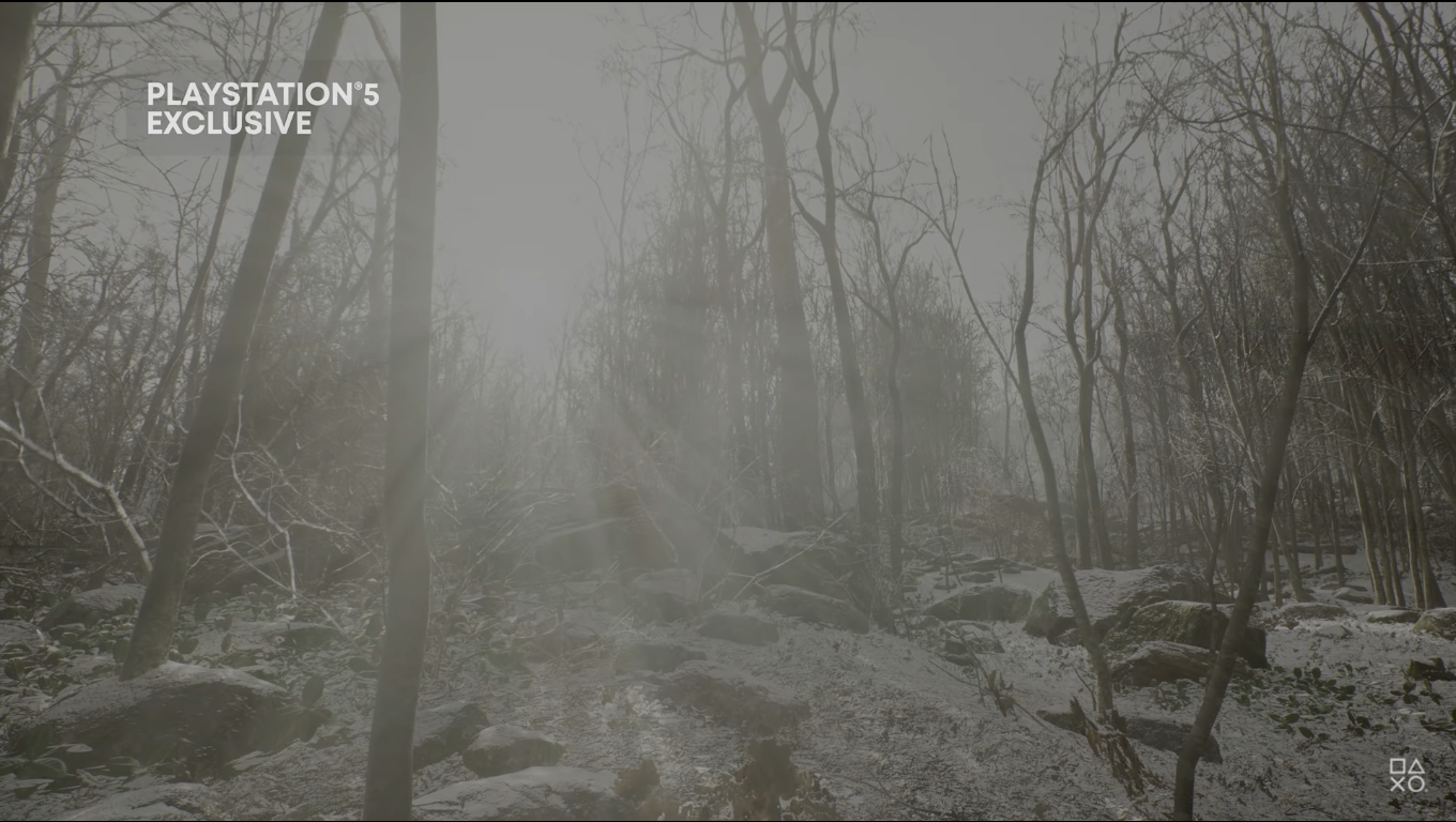 image-4 – PixelNerd